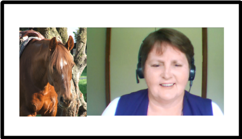 The Five Keys of Knowledge | Natural Horse World