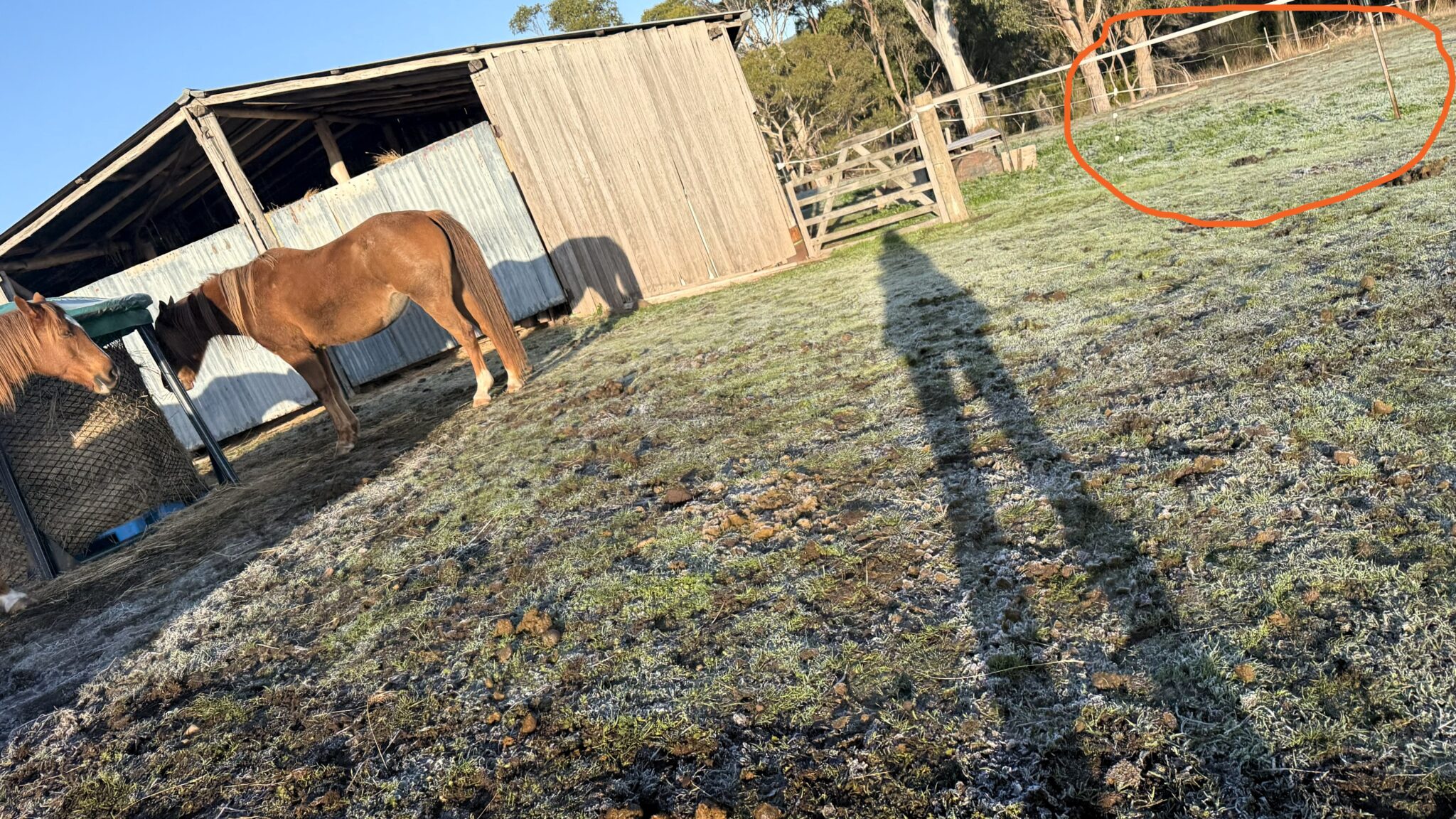 When Fencing Fails – and the Lesson I’ll Never Forget - Natural Horse World